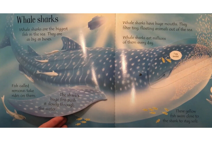 Sharks by Phil Clarke (2005, Hardcover / Lift the Flap Book) for sale ...