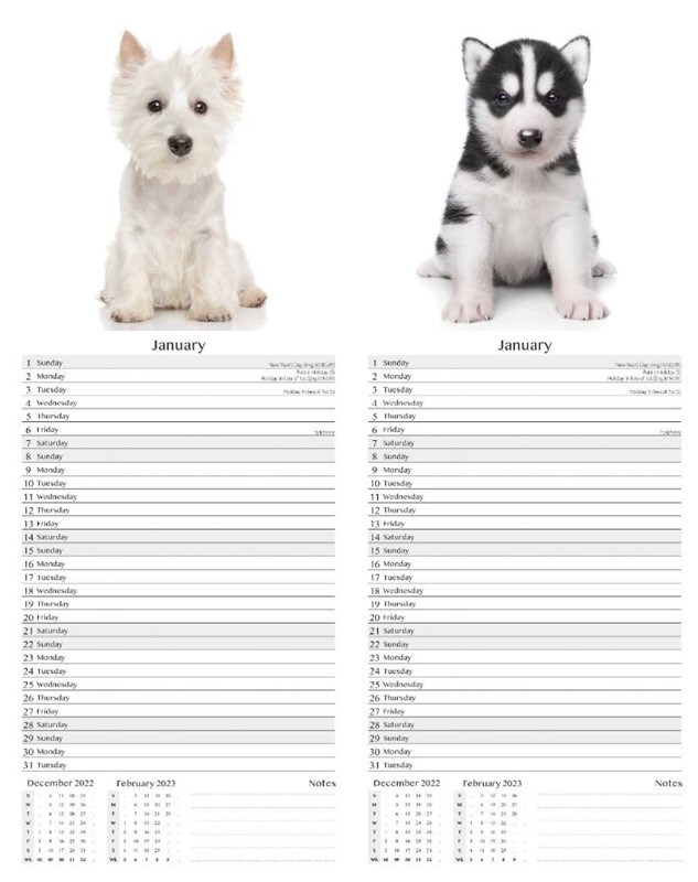 2026 Puppy Cat Dog Kitten Slim Calendar Wall Long Planner Spiral Dogs ...