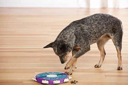 Dog Twister Interactive Treat Puzzle Dog Toy Games and Puzzles Brain ...
