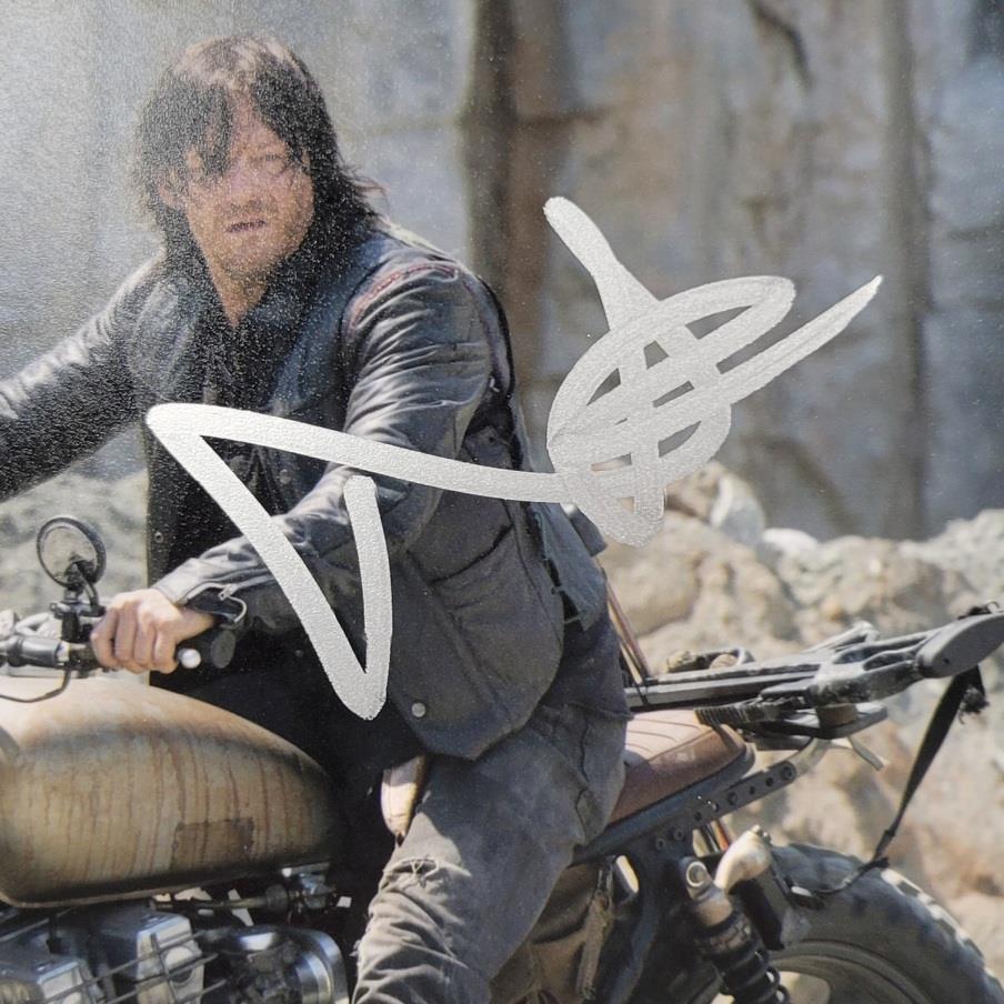 Norman Reedus signed 8x10 photo Walking Dead Daryl autograph (B ...