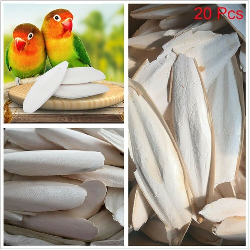 Calcium Tortoise Bird Beak Stone Cuttlefish Bone Bird Cuttlebone Cuddle ...