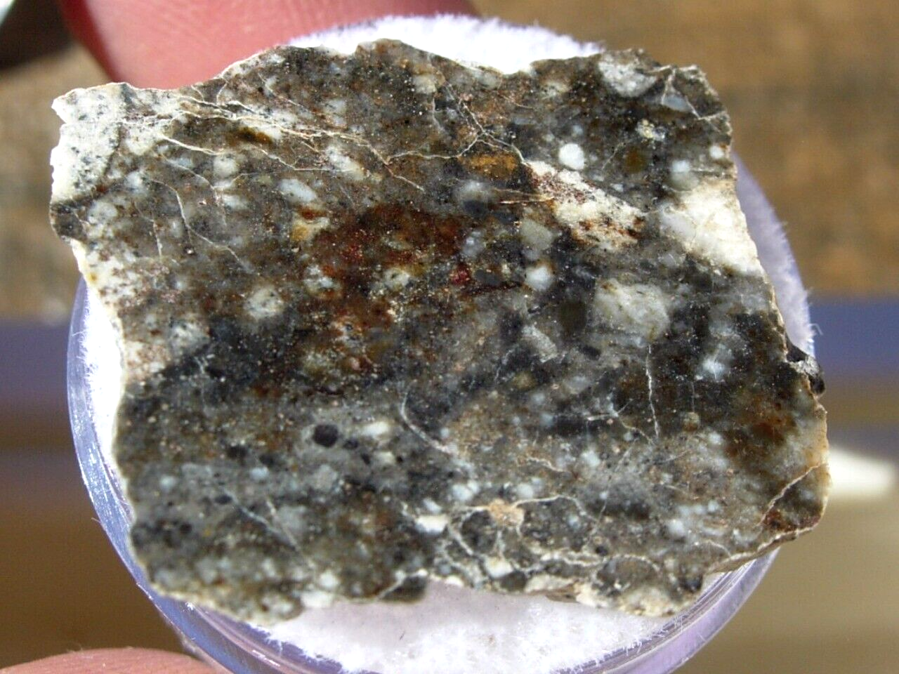 3 grams 24x20x2mm NWA 11182 Lunar Moon slice Meteorite feldsp. breccia ...