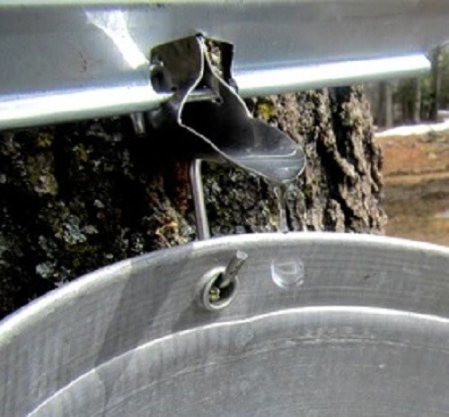 25 NEW Maple Sap Syrup 7/16 Taps, Stainless Steel Spouts, with bucket ...