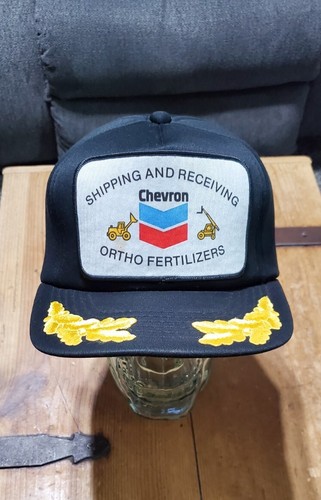 vintage chevron ortho - Gem