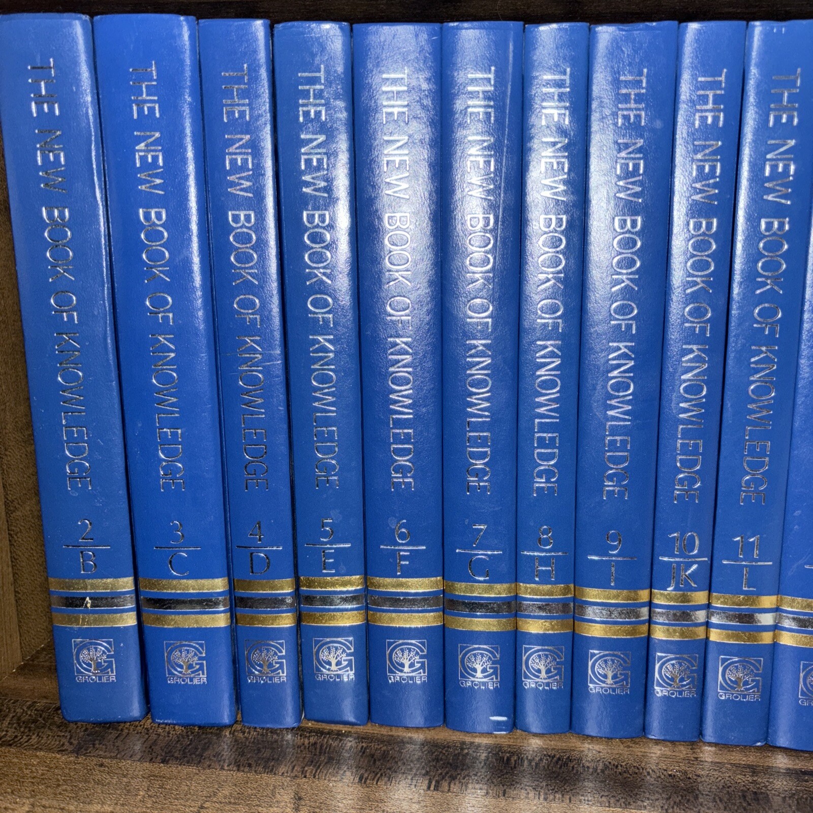 The New Book of Knowledge: Complete Set 20 Encyclopedias A-Z Grolier ...