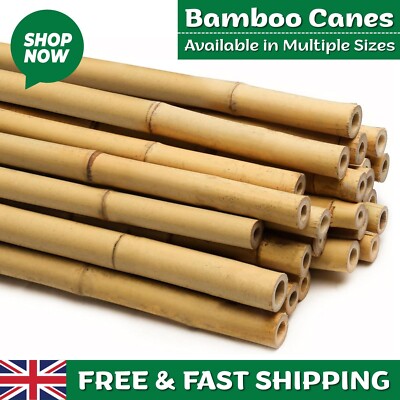 2ft-6ft-7ft Large Bamboo Canes Strong Thick Pole Garden Canes Plants ...