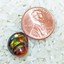 Fire Agate Gem AAA Quality from Slaughter Mountain Arizona 7.28 ct. | eBay