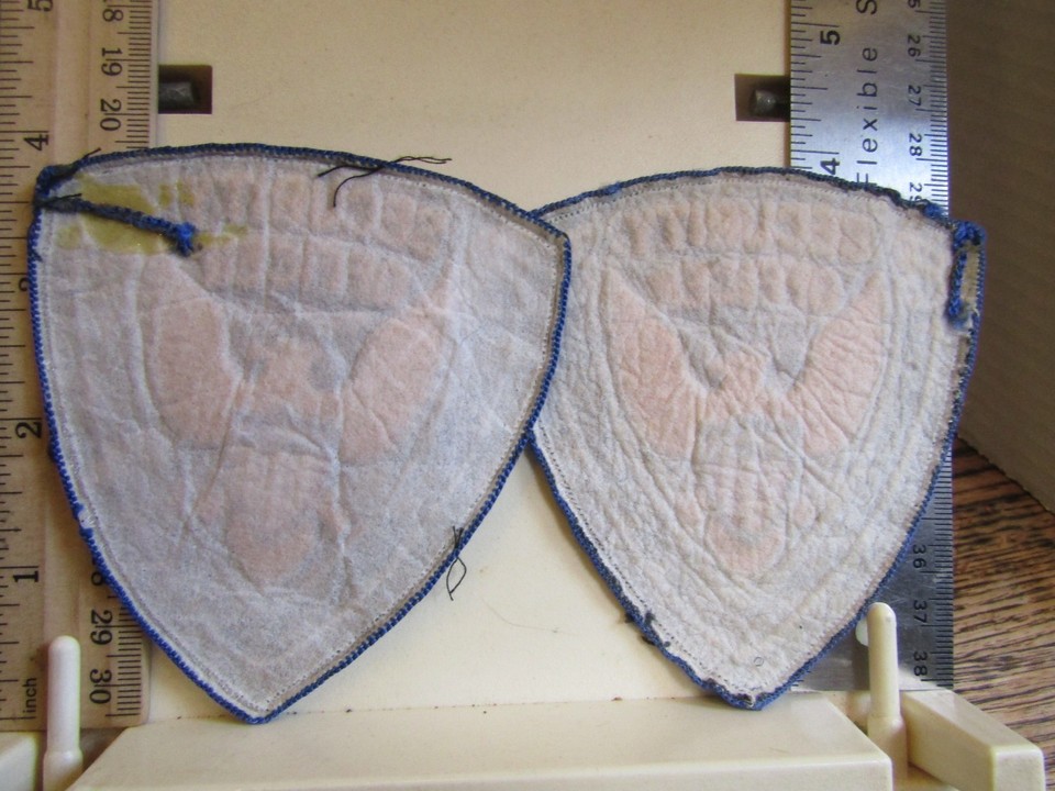 2 Security Officer patches used black gold blue eagle 4" tall any state ...