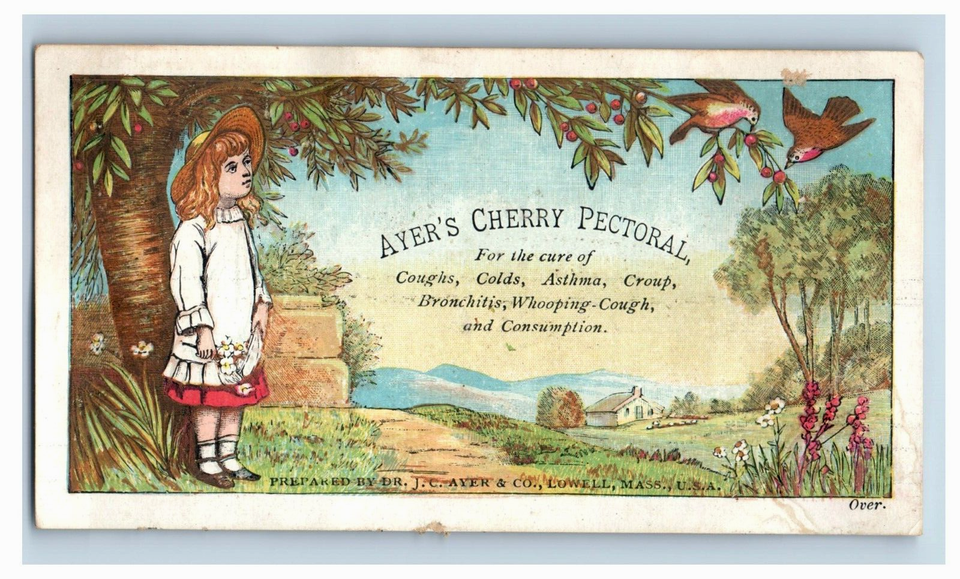 1880s Ayer's Cherry Pectoral Quack Medicine Girl Birds Tree F118 | eBay