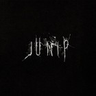 Junip Junip (CD) Album | eBay.de