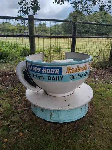 Vintage Tea Cup Fairground Ride | eBay UK