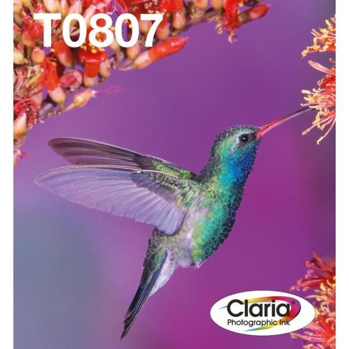 Epson Hummingbird Multipack 6 colori T0807 Claria Photographic Ink in ...