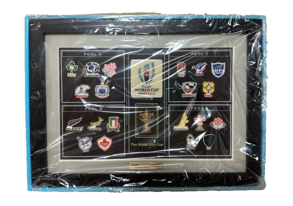 Rugby World Cup 2019 Special Pins Frame Set RWC Official | eBay