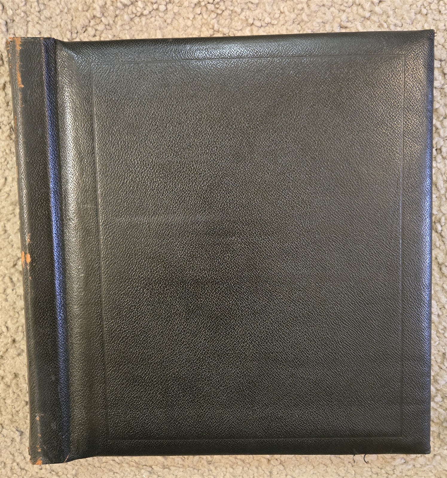 Vintage Germany Singles Stamp Album Many Pages Plastic Covering on all ...