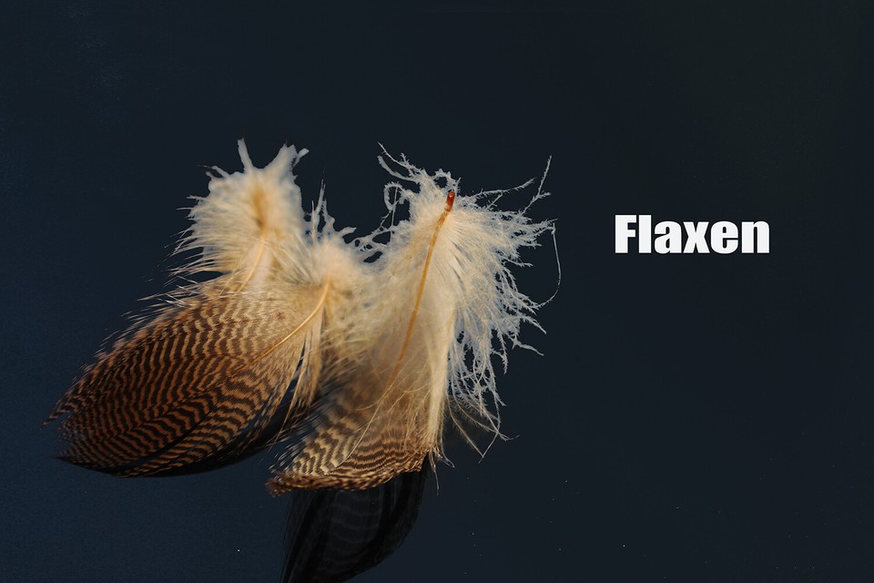 40 pcs 4 colors Natural Barred Mallard Duck Flank Feathers Wild Goose ...