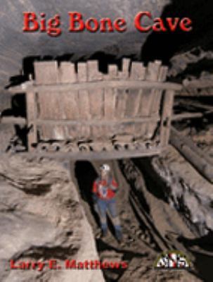 Big Bone Cave by E. Matthews Matthews (2006, Perfect) for sale online ...