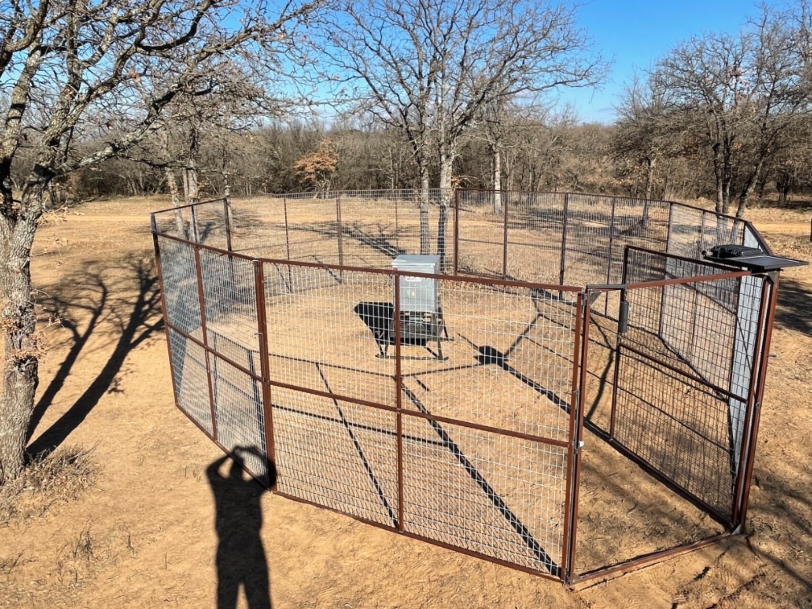 Wireless Cell Phone Activated Hog Trap (camera only) | eBay