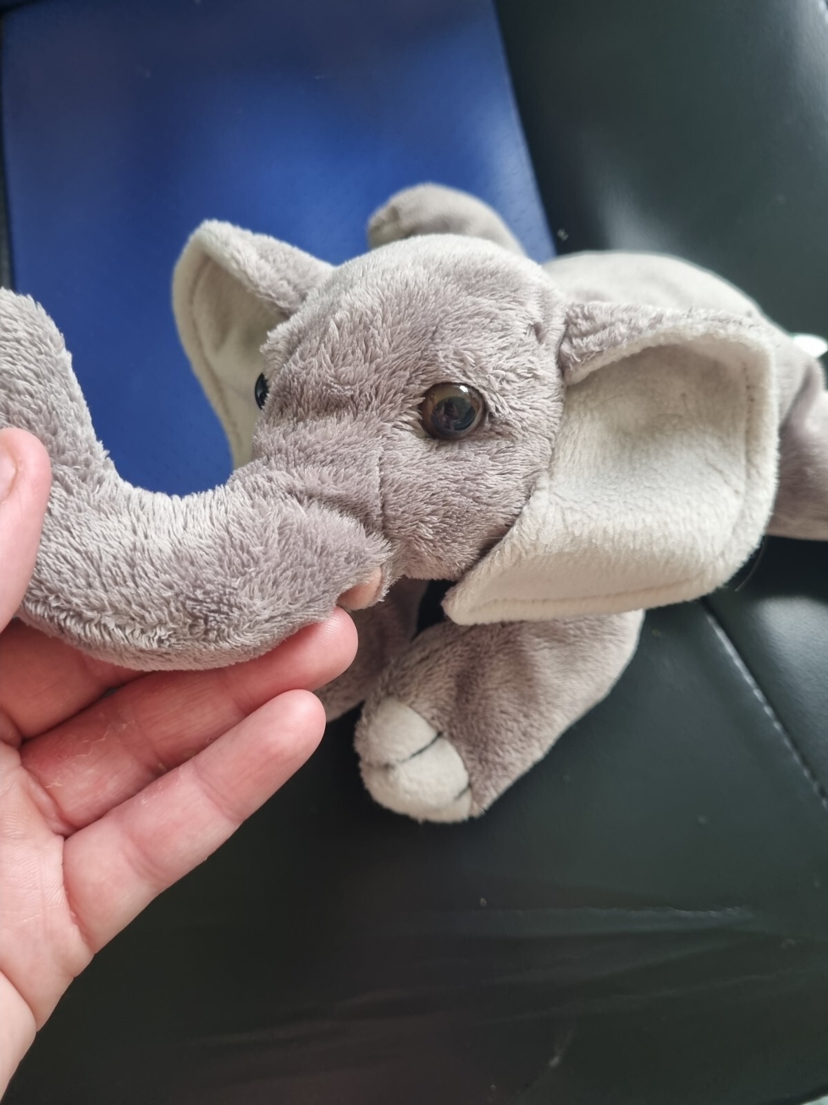 Zoos Victoria Melbourne Zoo Plush Toy Elephant Soft | eBay Australia