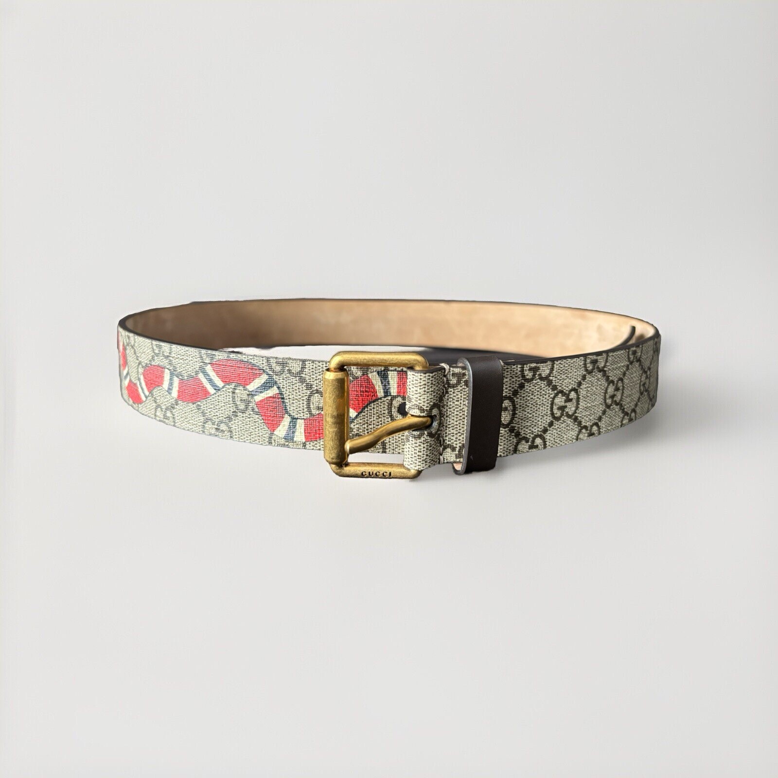 Authentic Gucci Belt- GG Supreme & Snake - Gem