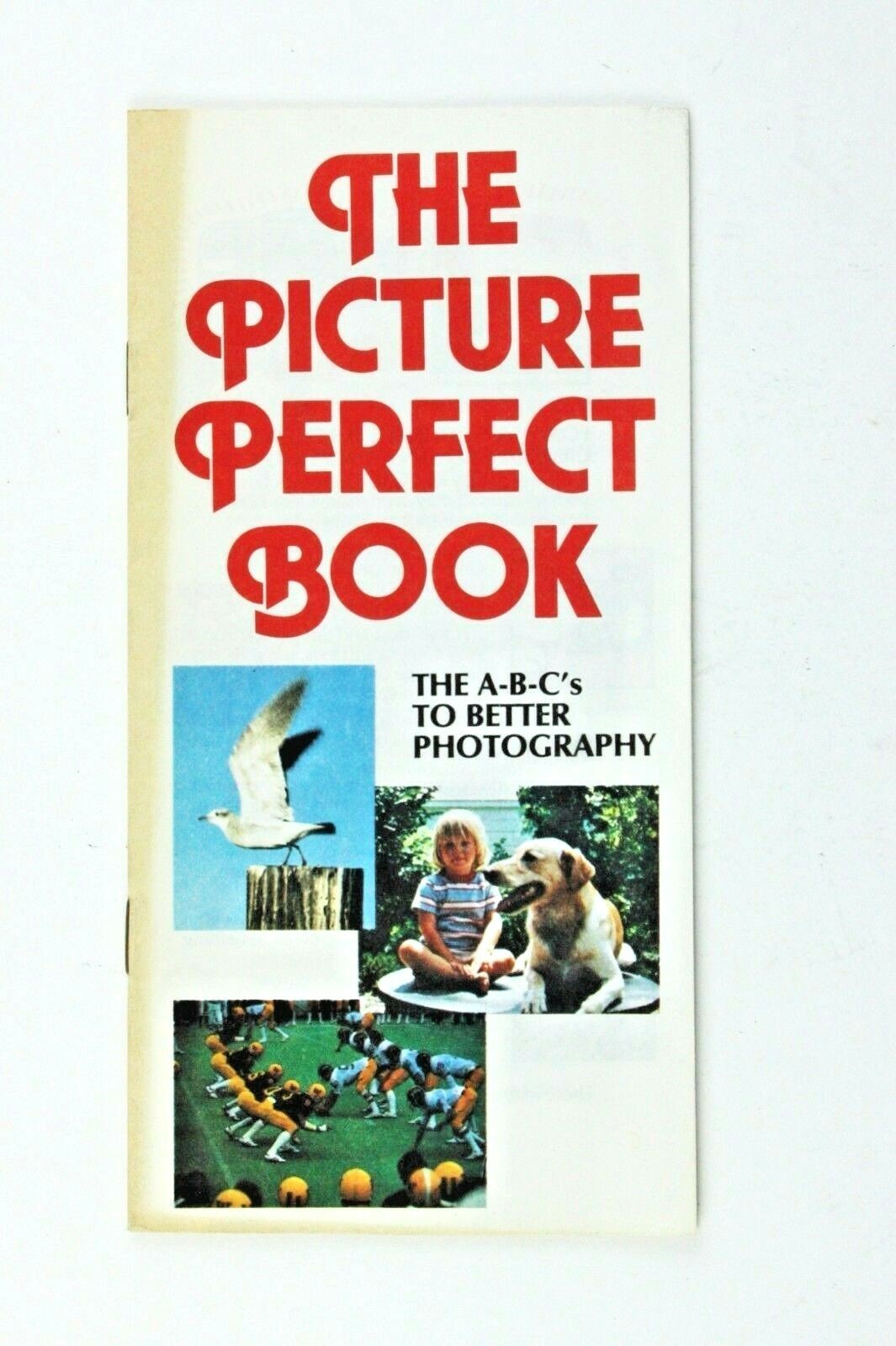 189406 "The Picture Perfect Book" Guide to Better Photography by ...