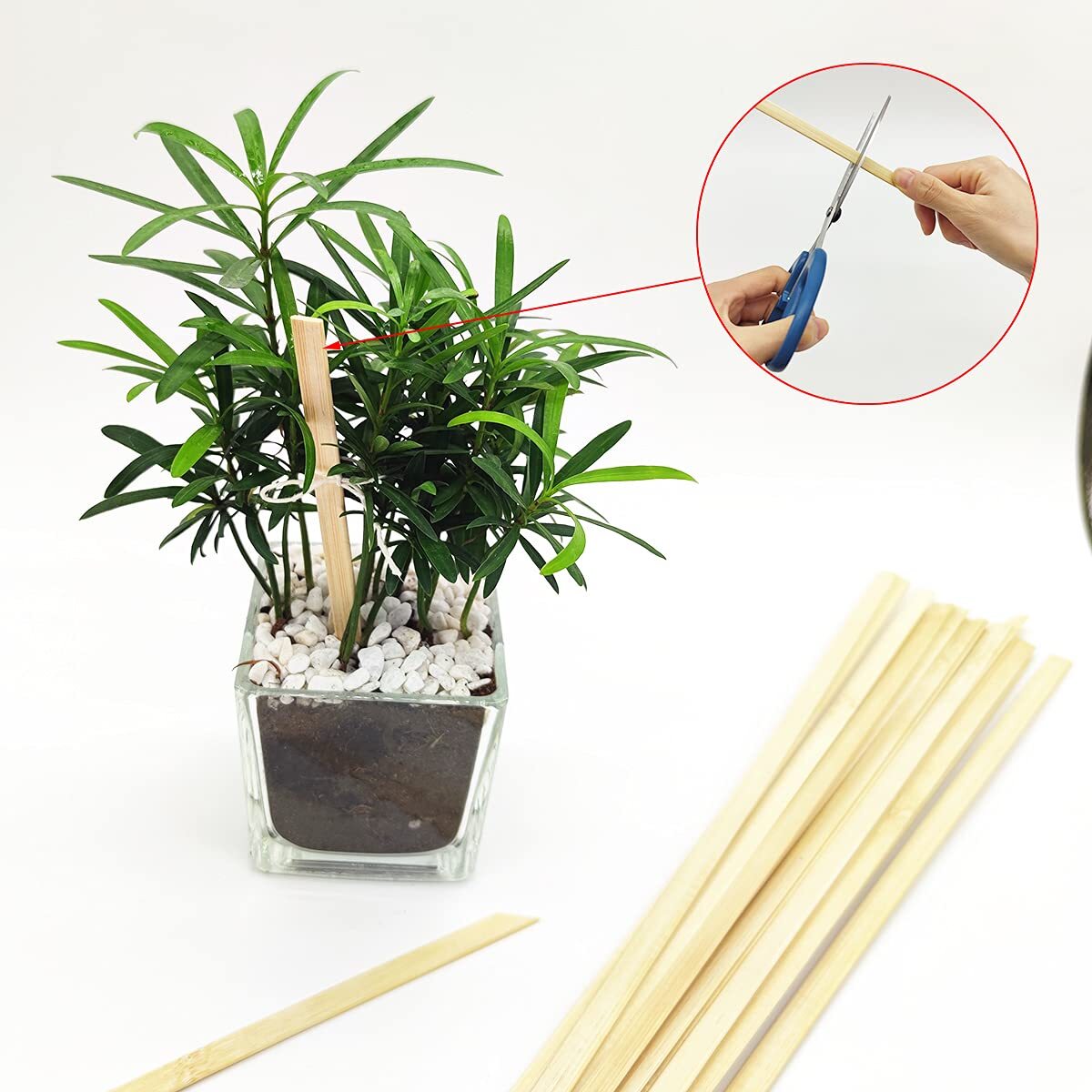 120 Pcs 15.7 Inch Strong Natural Bamboo Sticks, Wooden Craft Sticks ...