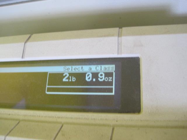 TENNESSEE THUMPERS BASEBALL BAT WOOD WORTH BUSH WHACKER GULF WAR SADDAM ...