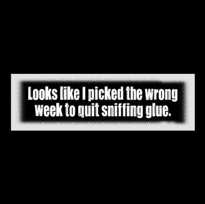 Funny "WRONG WEEK TO QUIT SNIFFING GLUE" Airplane BUMPER STICKER movie ...