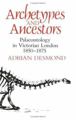 Archetypes and Ancestors: Palaeontology in - Paperback, by Desmond ...