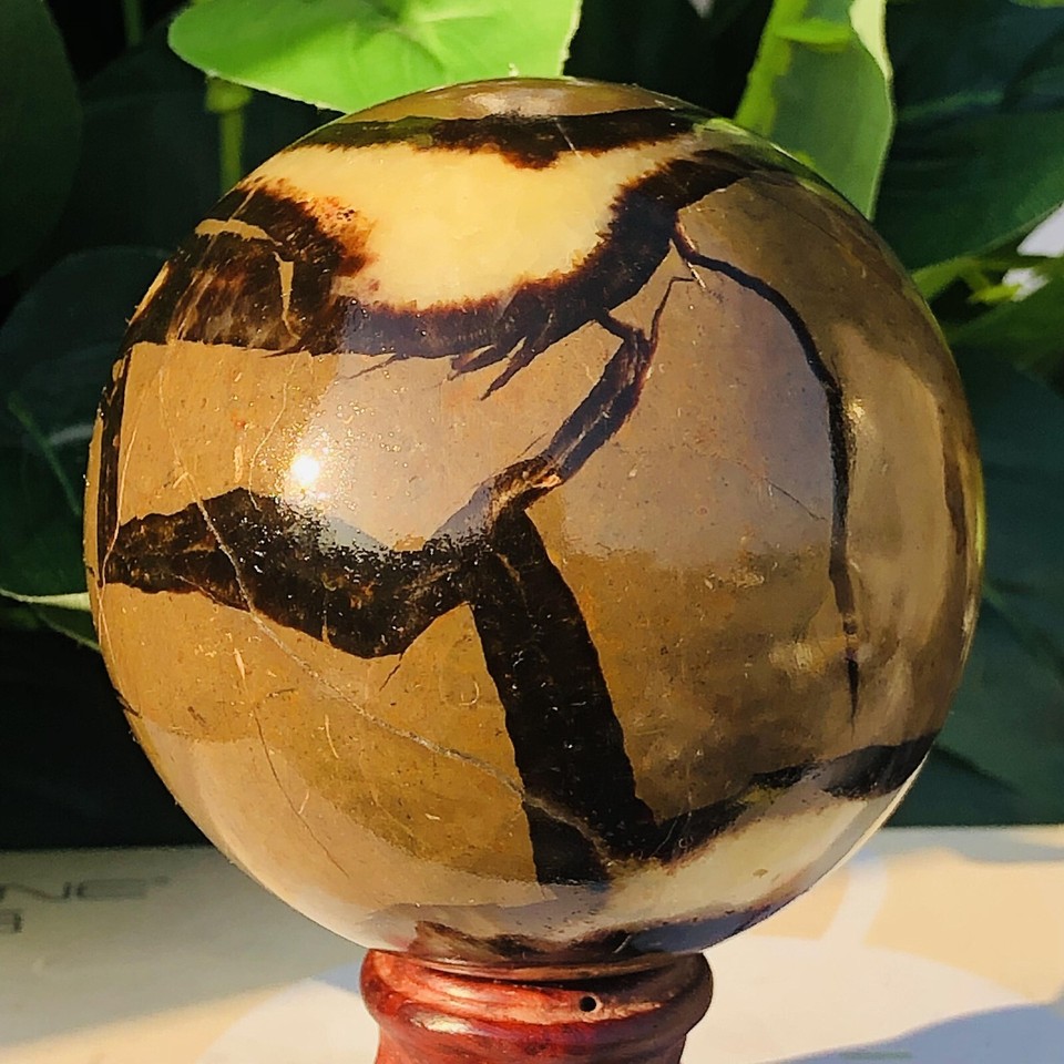 500g Natural Turtle Back Stone Quartz Dragon Crystal Ball Gem Mineral ...