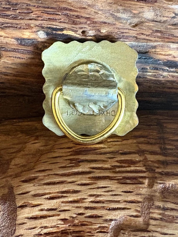 Western wild rag slide | Texas Long Horn Steer | Man Scarf Slide | eBay