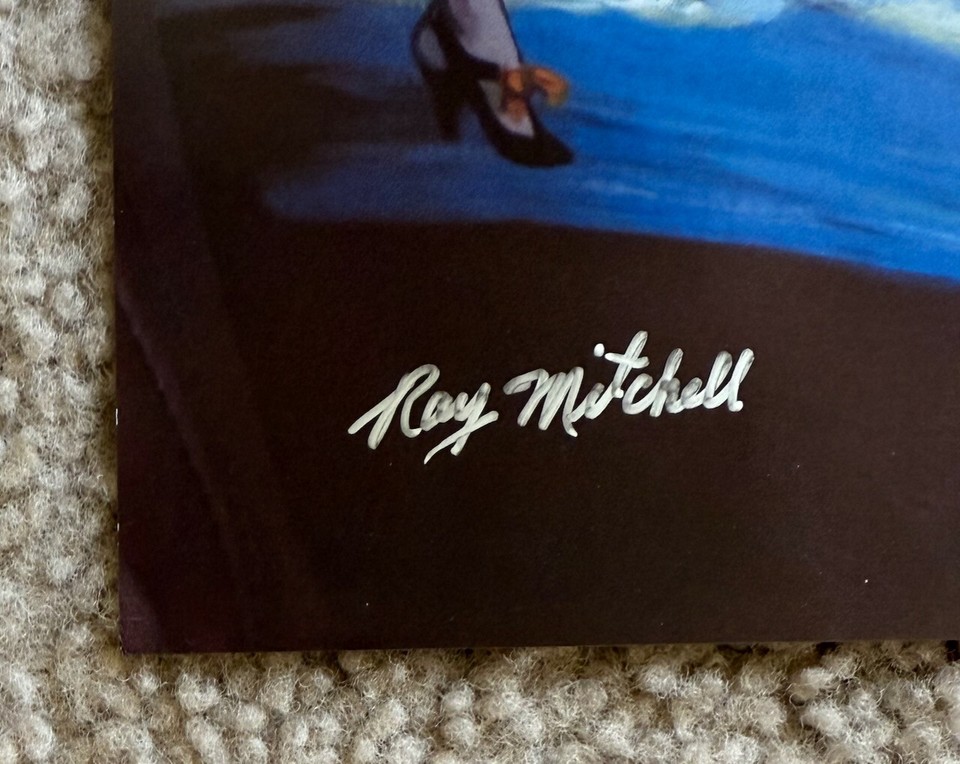 Raymond RAY MITCHELL 352nd FG BLUENOSERS P-51 Mustang Fighter Pilot ...