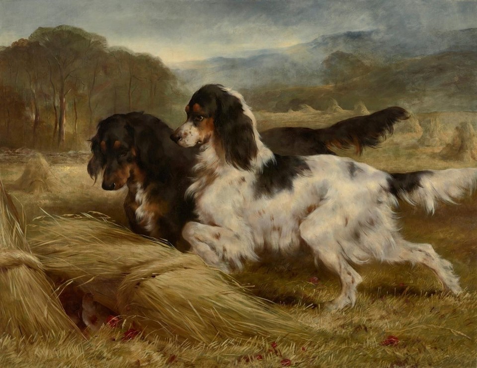Handmade old master Antique Oil Painting art Animal dogs on canvas 20 ...