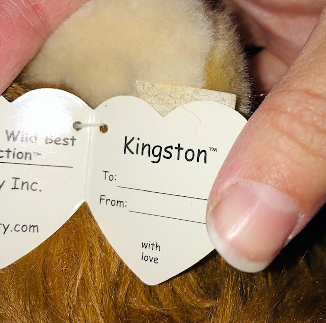 Ty Wild Wildz Animals Kingston Lion 10" Plush Stuffed Animal NWT ...