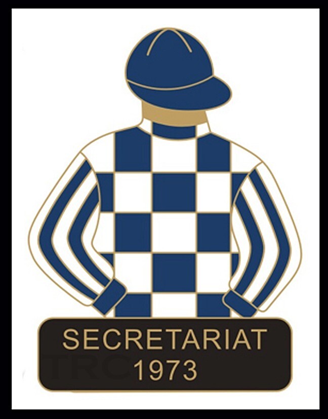 SECRETARIAT 1973 CUSTOM MEADOW STABLE'S JOCKEY SILKS HORSE RACING LAPEL ...