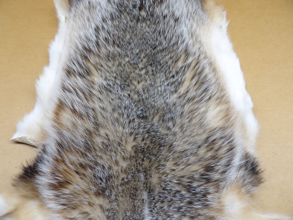 Tanned Badger Hide in rug form /Fur/Taxidermy/Pelts/hides | eBay