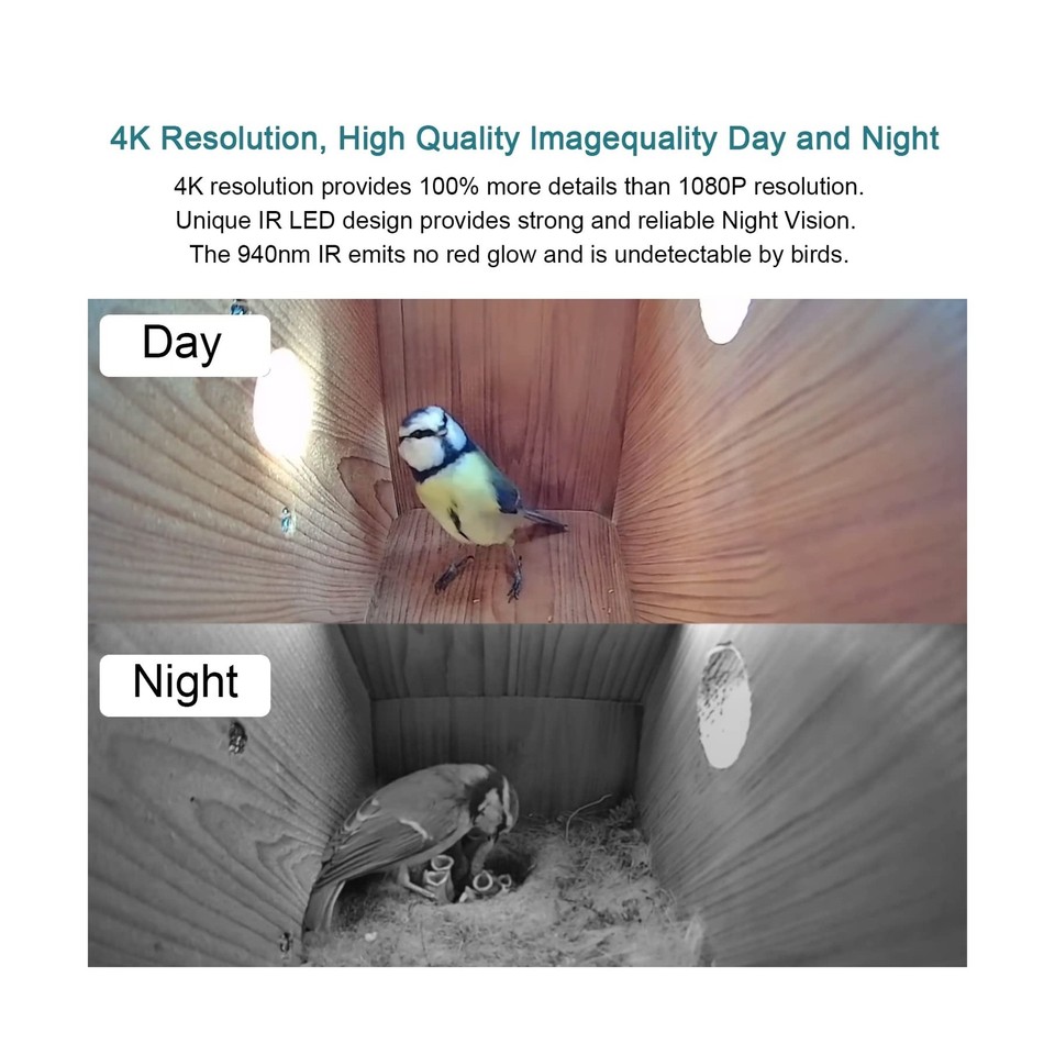 WIWACAM WiFi Bird Box Camera, 4K HD WLAN, Live Video to Phone, Easy ...