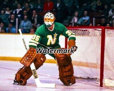 NHL 1970's Minnesota North Stars Goalie Gary Smith Color 8 X 10 Photo ...