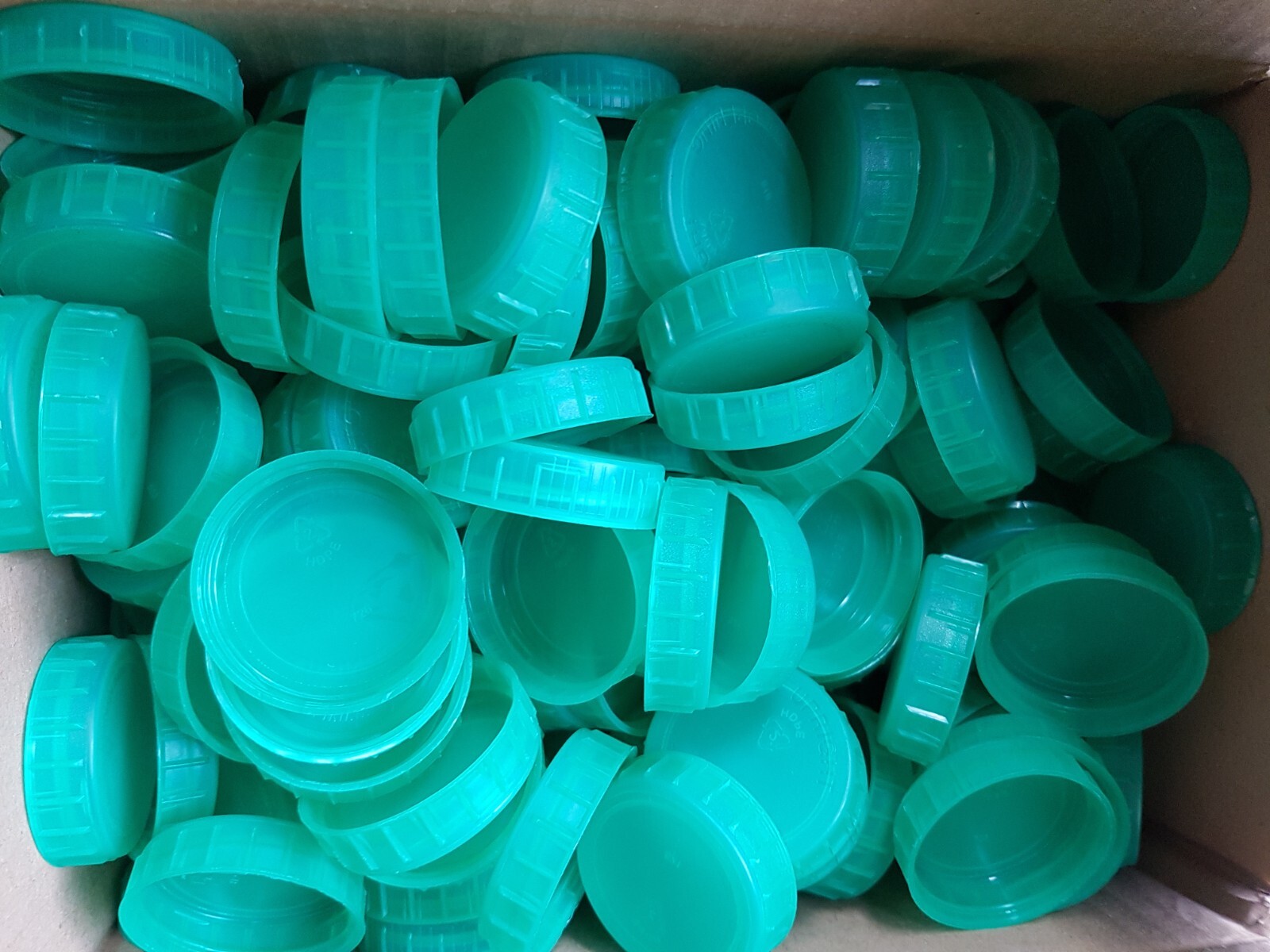 600 green plastic milk bottle tops lids caps (Kids Art craft school ...