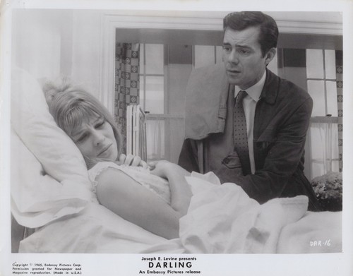 Julie Christie + Laurence Harvey in Darling (1965) Original Vintage Photo 812 | eBay