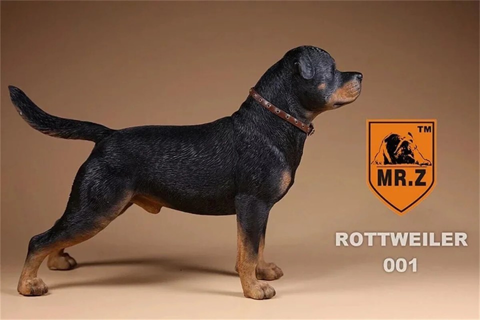 Mr.Z Studio 1:6 Rottweiler Figure Cute Police Pet Dog Animal Model ...