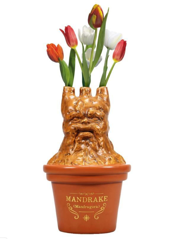 Harry Potter Crushed Mandrake Root The Noble Collection NN8603