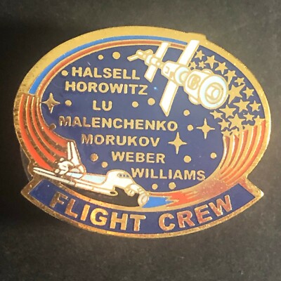Scarce Official NASA Shuttle Flight Crew Mission Lapel Pin - STS 101 ...