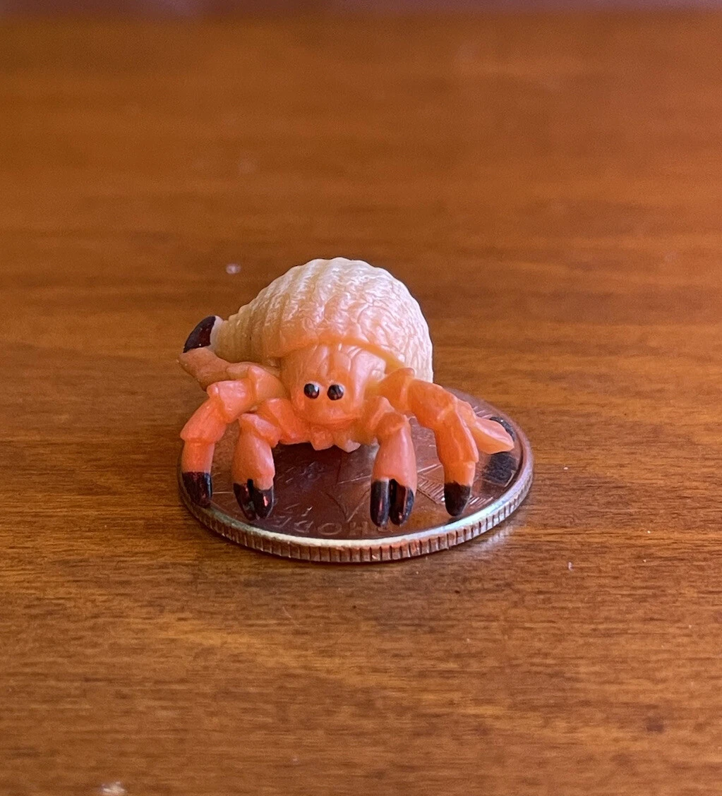 Hermit Crab Craft