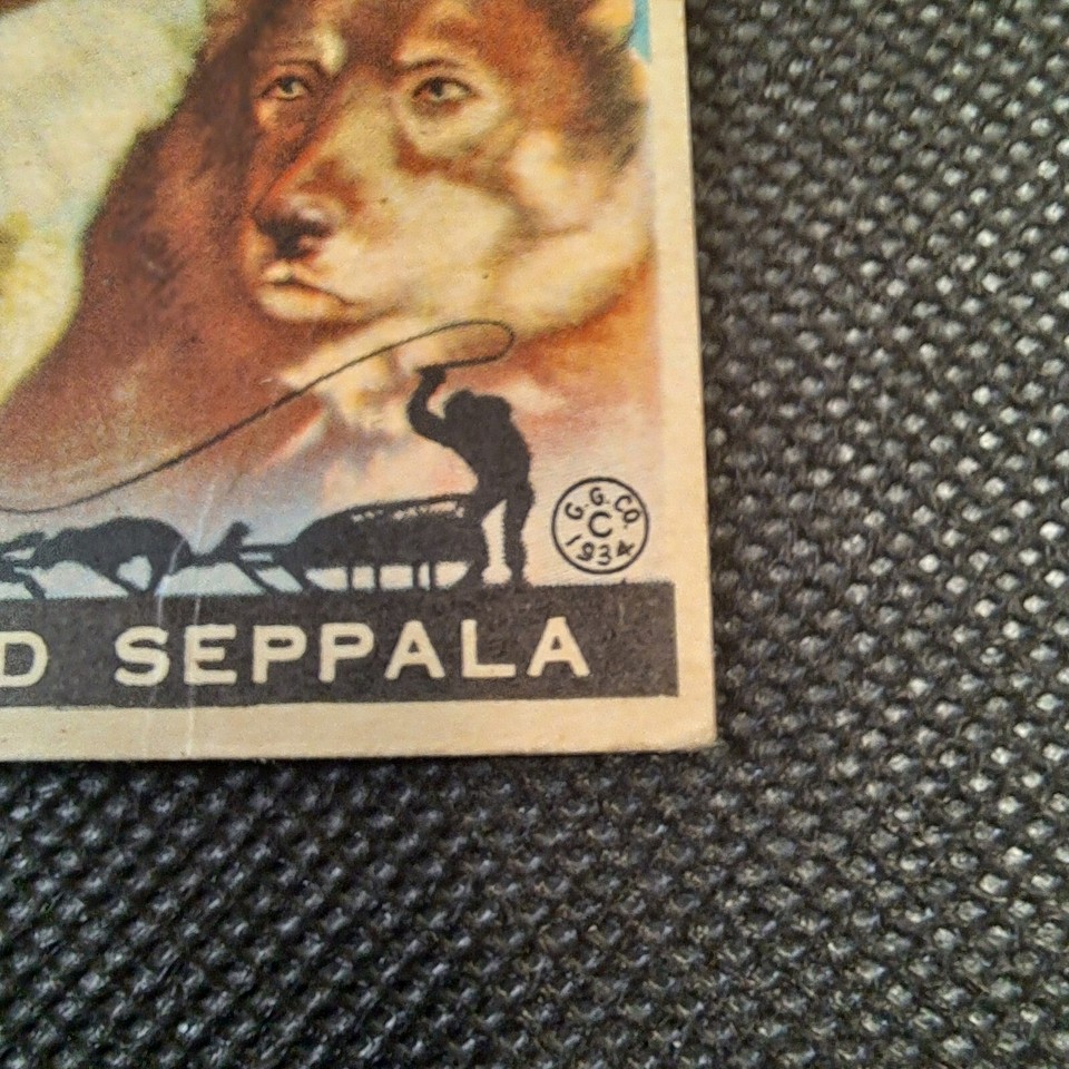 1934 Goudey Sport Kings #48 Leonhard Seppala - Dog-Sled Racing ...