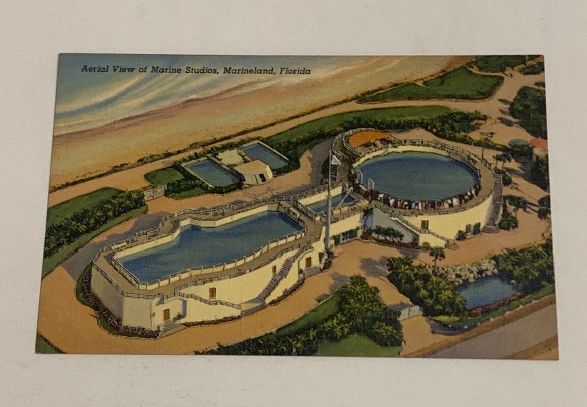 Aerial View of Marine Studios, Marineland, Florida…Old Postcard | eBay