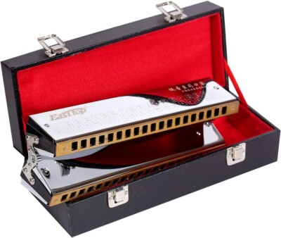 Mini&Double Bass Harmonica Orchestral Mouth Organ Harmonica Adult ...