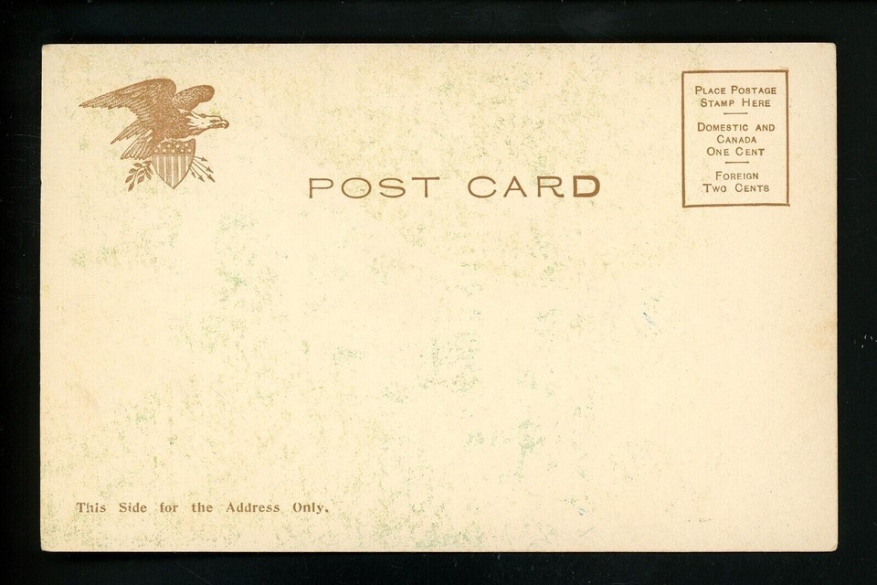 New York City NY postcard Promenade Central Park Vintage | eBay