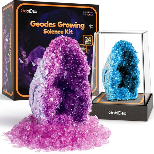 Geodes Growing Science Kit for Kids Age 6-8-12, Geodes with Crystals ...