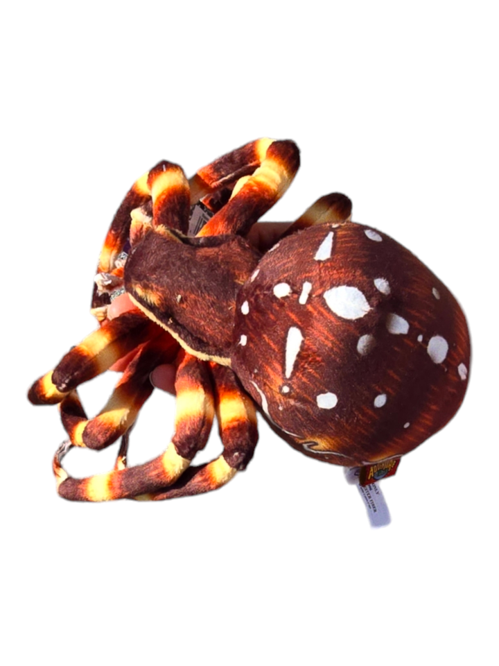8" Spider Plush Toy (Blue, Brown Orb-Weaver or Brown Tarantulas) Soft ...