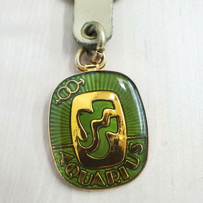 Vintage 70's Aquarius Key Ring Fob Chain Zodiac Sign Avacado Green ...
